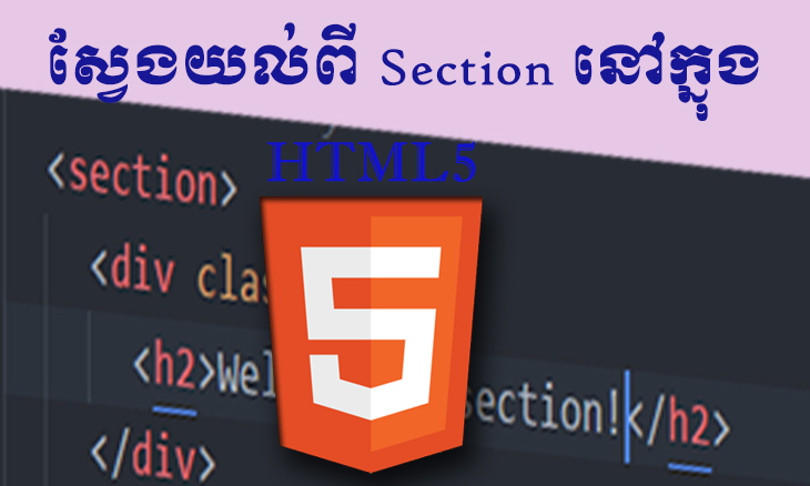 ស្វែងយល់ពី Section នៅក្នុង HTML5